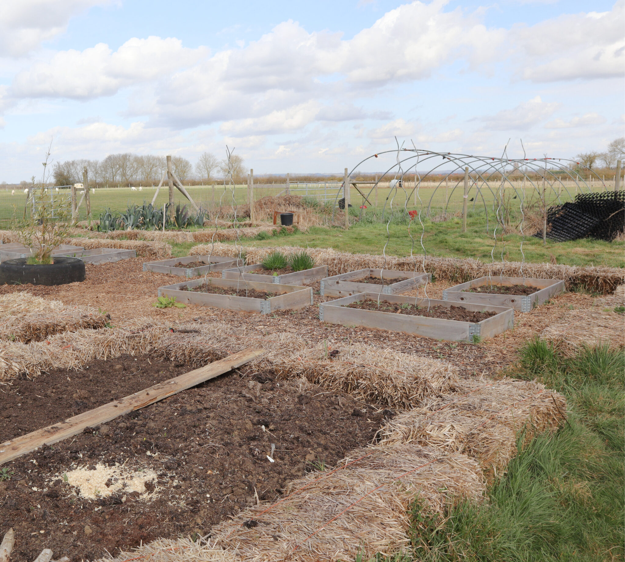 Gardening Checklist - 5 Things For a Successful Garden in March - Tales ...